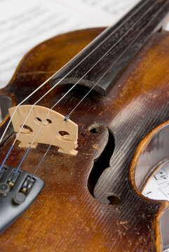 Geigen bilder – Bläddra bland 533 stockfoton, vektorer och videor ...