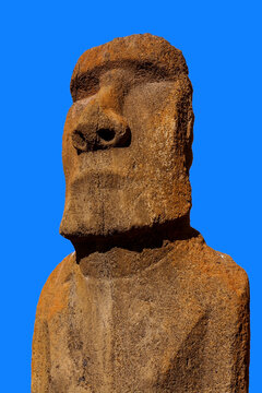 Naoki Images – Browse 12 Stock Photos, Vectors, and Video | Adobe Stock