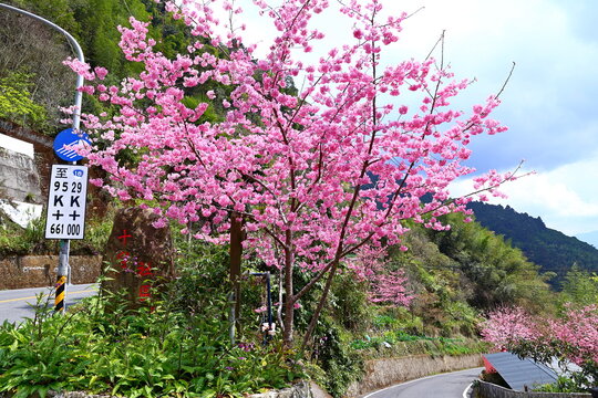 รูปภาพChaoping – เลือกดูภาพถ่ายสต็อก เวกเตอร์ และวิดีโอ97 | Adobe Stock