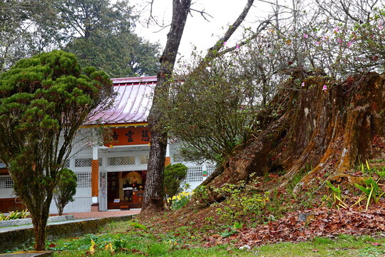 รูปภาพChaoping – เลือกดูภาพถ่ายสต็อก เวกเตอร์ และวิดีโอ97 | Adobe Stock