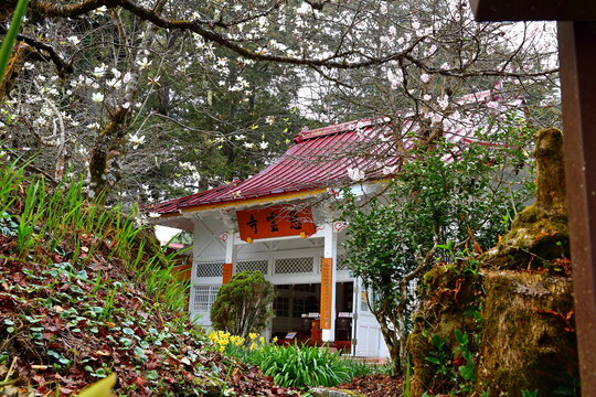 รูปภาพChaoping – เลือกดูภาพถ่ายสต็อก เวกเตอร์ และวิดีโอ97 | Adobe Stock