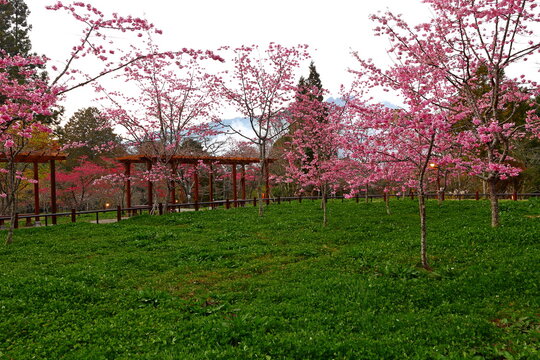 รูปภาพChaoping – เลือกดูภาพถ่ายสต็อก เวกเตอร์ และวิดีโอ97 | Adobe Stock