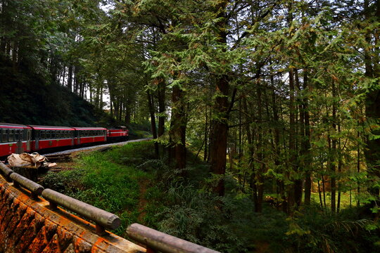 รูปภาพChaoping – เลือกดูภาพถ่ายสต็อก เวกเตอร์ และวิดีโอ97 | Adobe Stock