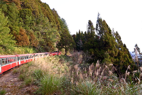 รูปภาพChaoping – เลือกดูภาพถ่ายสต็อก เวกเตอร์ และวิดีโอ97 | Adobe Stock