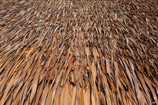 Thatch Texture Bilder – Durchsuchen 8,711 Archivfotos, Vektorgrafiken ...