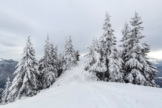 รูปภาพSnowy – เลือกดูภาพถ่ายสต็อก เวกเตอร์ และวิดีโอ2,408,502 | Adobe Stock