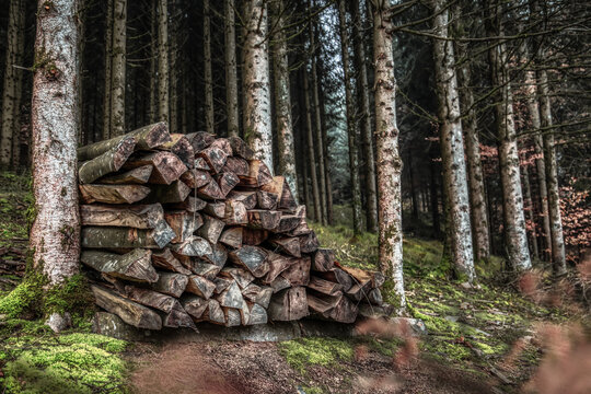 "Stack Of Wood" Images – Parcourir 932 le catalogue de photos, vecteurs ...