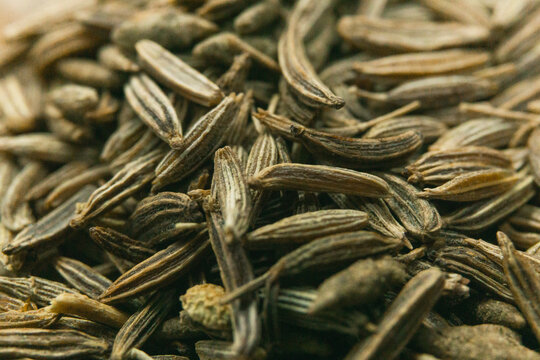 「Cominos」の写真素材 | 47件の無料イラスト画像 | Adobe Stock