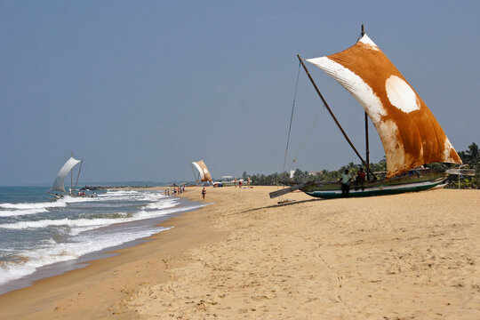 รูปภาพOruwa – เลือกดูภาพถ่ายสต็อก เวกเตอร์ และวิดีโอ119 | Adobe Stock