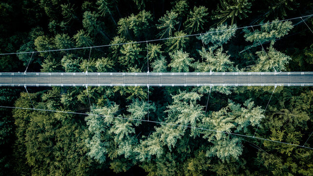 Sosberg Bilder – Durchsuchen 73 Archivfotos, Vektorgrafiken und Videos ...