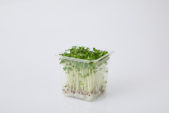 Broccoli-Sprossen Bilder – Durchsuchen 23,250 Archivfotos ...