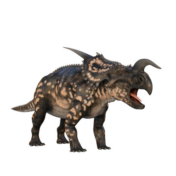 Centrosaurine Bilder – Durchsuchen 118 Archivfotos, Vektorgrafiken und ...