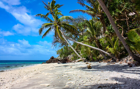 Melanesien Bilder – Durchsuchen 6,042 Archivfotos, Vektorgrafiken und ...