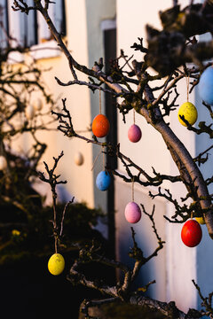 Ostereierbaum Bilder – Durchsuchen 23,299 Archivfotos, Vektorgrafiken ...