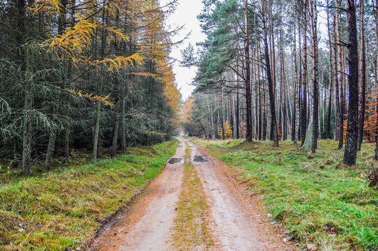 194 件の最適な Dukt 画像、ストック写真、ベクター | Adobe Stock