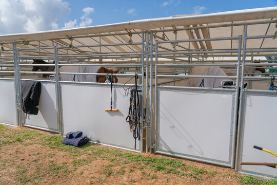 รูปภาพStables – เลือกดูภาพถ่ายสต็อก เวกเตอร์ และวิดีโอ169,278 | Adobe Stock