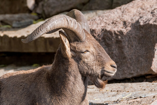 Tur 이미지 – 찾아보기 10,624 스톡 사진, 벡터 및 비디오 | Adobe Stock