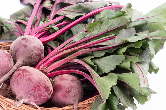 Chukandar Images – Browse 200 Stock Photos, Vectors, and Video | Adobe ...