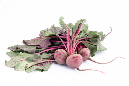 Chukandar Images – Browse 127 Stock Photos, Vectors, and Video | Adobe ...