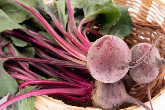 Chukandar Images – Browse 136 Stock Photos, Vectors, and Video | Adobe ...