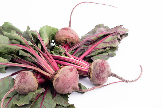 Chukandar Images – Browse 127 Stock Photos, Vectors, and Video | Adobe ...