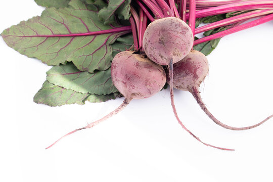 Chukandar Images – Browse 127 Stock Photos, Vectors, and Video | Adobe ...