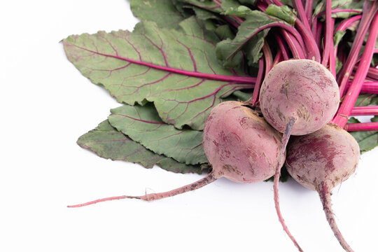 Chukandar Images – Browse 127 Stock Photos, Vectors, and Video | Adobe ...