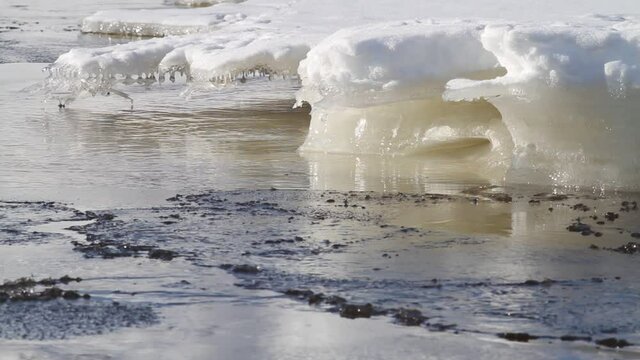 Imágenes de Floe: descubre bancos de fotos, ilustraciones, vectores y ...