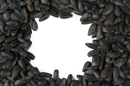 รูปภาพSemki – เลือกดูภาพถ่ายสต็อก เวกเตอร์ และวิดีโอ66 | Adobe Stock