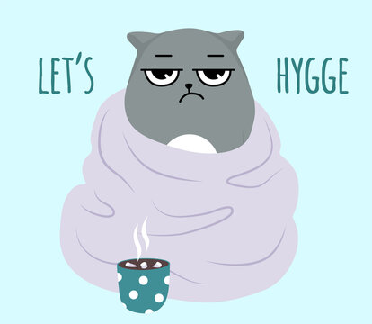 Cold Grumpy Cat