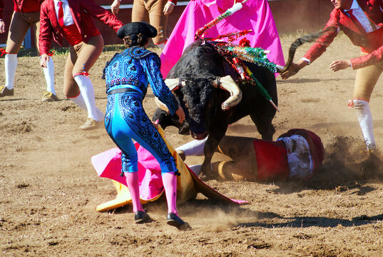 รูปภาพTourada – เลือกดูภาพถ่ายสต็อก เวกเตอร์ และวิดีโอ101 | Adobe Stock