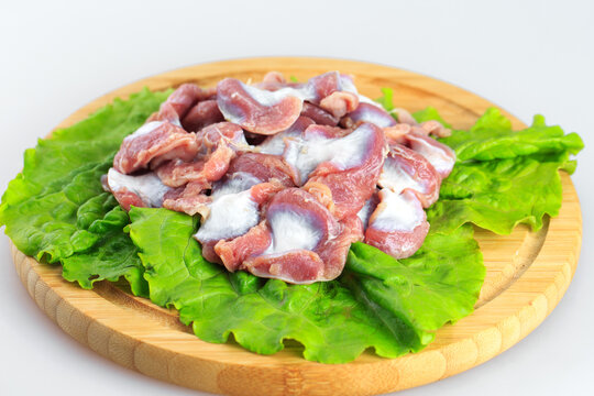 Gizzard Images – Browse 4,900 Stock Photos, Vectors, and Video | Adobe ...