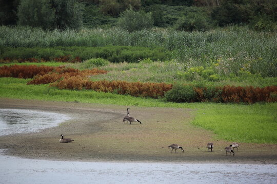 รูปภาพMarschland – เลือกดูภาพถ่ายสต็อก เวกเตอร์ และวิดีโอ677 | Adobe Stock