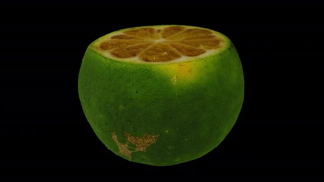 Dalandan Images – Browse 21,169 Stock Photos, Vectors, and Video ...