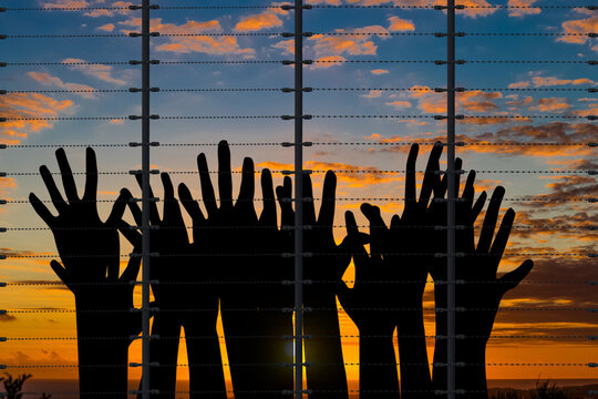 รูปภาพImplorer – เลือกดูภาพถ่ายสต็อก เวกเตอร์ และวิดีโอ162 | Adobe Stock