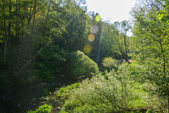 รูปภาพMittelsachsen – เลือกดูภาพถ่ายสต็อก เวกเตอร์ และวิดีโอ1,311 ...