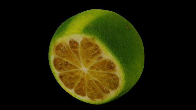 Dalandan Images – Browse 54,590 Stock Photos, Vectors, and Video ...