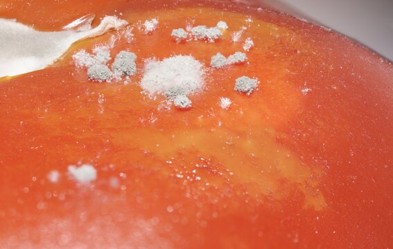 รูปภาพEkelig – เลือกดูภาพถ่ายสต็อก เวกเตอร์ และวิดีโอ1,880 | Adobe Stock