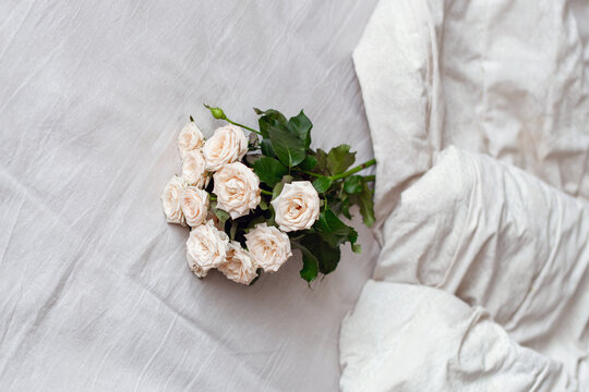 Rosenbett Bilder – Durchsuchen 53,835 Archivfotos, Vektorgrafiken und ...