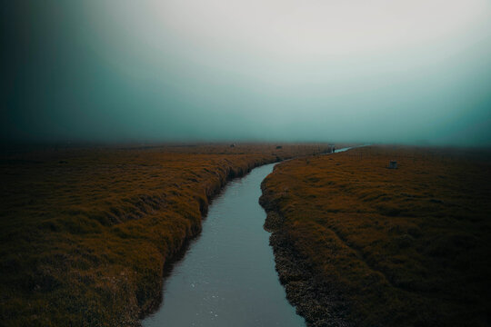 「Vertiente」の画像 - 183 件の Stock 写真、ベクターおよびビデオ | Adobe Stock