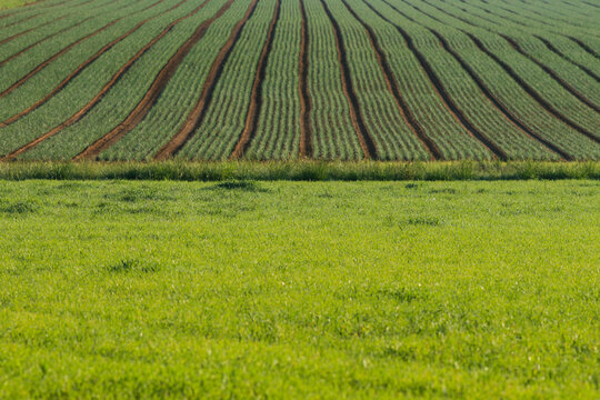 "Agriculture Intensive" Images – Browse 108 Stock Photos, Vectors, and ...
