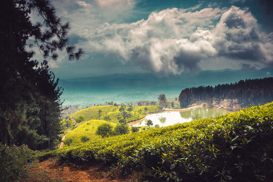 Sembuwatta Images – Browse 22 Stock Photos, Vectors, and Video | Adobe ...