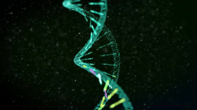 Polynucleotide Images – Browse 655 Stock Photos, Vectors, and Video ...