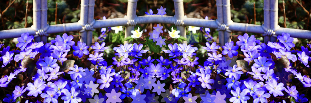 รูปภาพLeberblume – เลือกดูภาพถ่ายสต็อก เวกเตอร์ และวิดีโอ99 | Adobe Stock