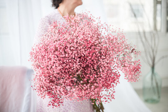 รูปภาพGipsofila – เลือกดูภาพถ่ายสต็อก เวกเตอร์ และวิดีโอ146 | Adobe Stock