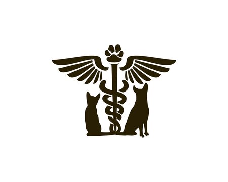 Veterinary Medicine Symbol Images – Browse 38,546 Stock Photos, Vectors ...