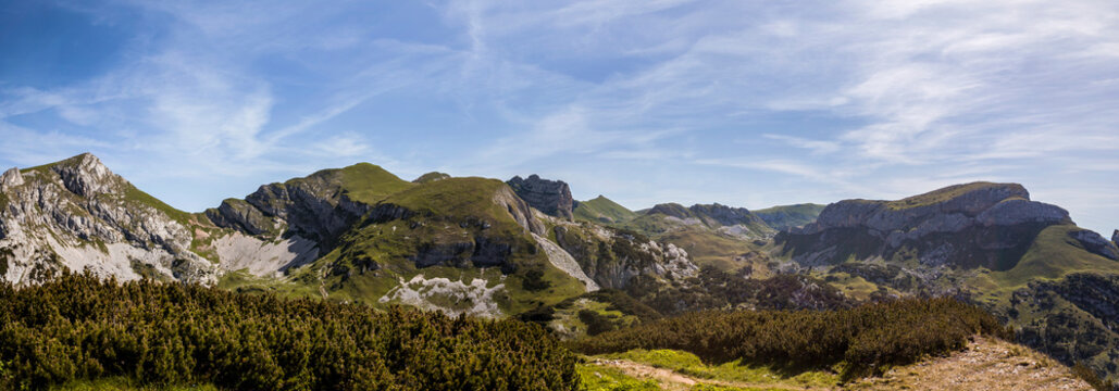 รูปภาพHochiss – เลือกดูภาพถ่ายสต็อก เวกเตอร์ และวิดีโอ280 | Adobe Stock