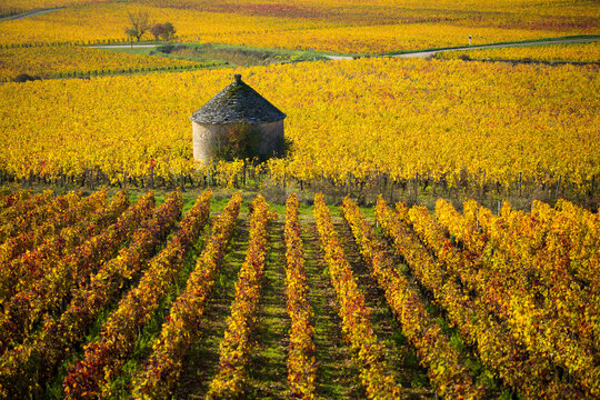 「Cabotte」の画像 - 123 件の Stock 写真、ベクターおよびビデオ | Adobe Stock