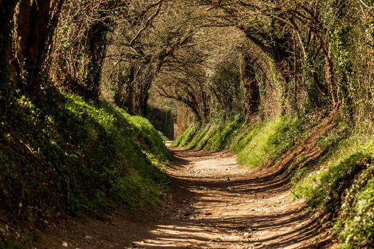 Halnaker-Bilder: Stock-Fotos & -Videos. | Adobe Stock