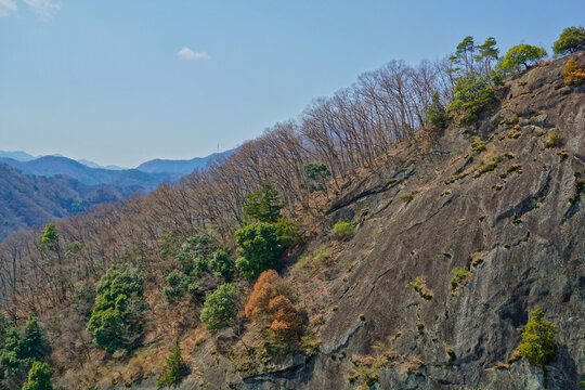 รูปภาพCatamite – เลือกดูภาพถ่ายสต็อก เวกเตอร์ และวิดีโอ1,098 | Adobe Stock